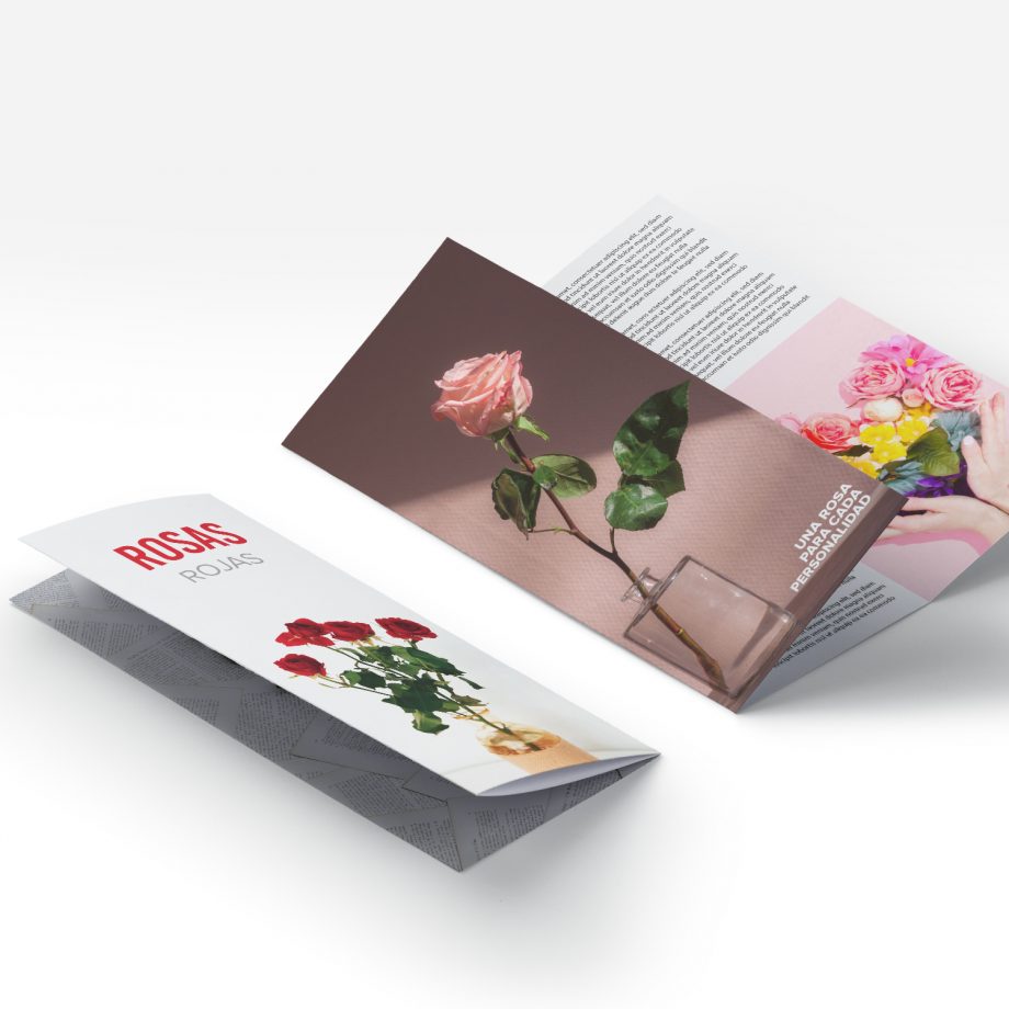 Trifolios/Bifolios - Expresión Digital